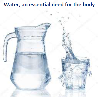 Water, an essential need for the body – Julie.Nutrition Simple & Tasty