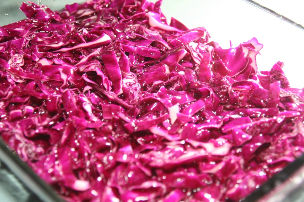 Red Cabbage Salad with Chicken – Julie.Nutrition Simple & Tasty